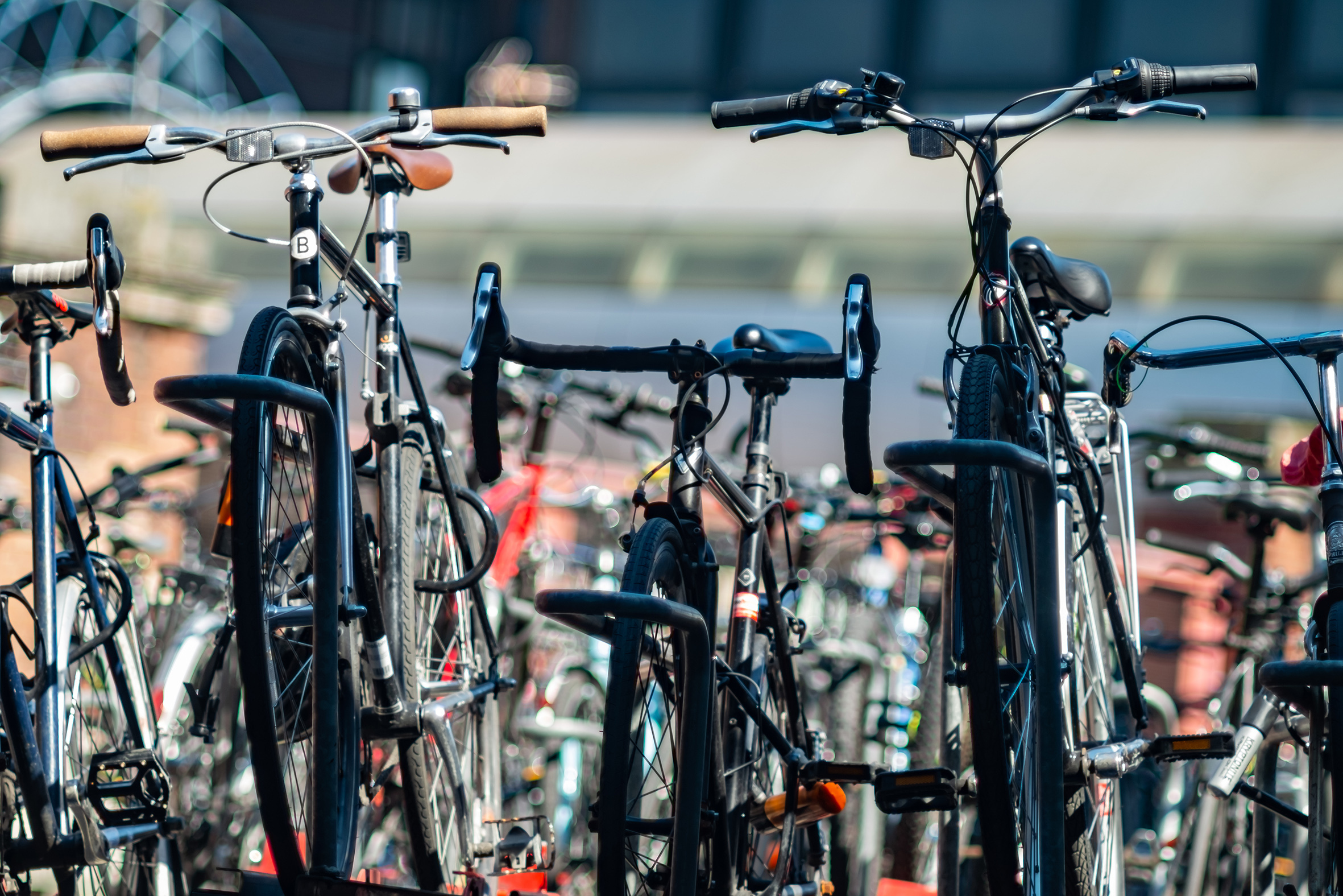 Seth's Portfolio Projects